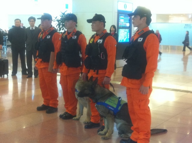 MOFA: Acceptance of a team of rescue dogs from the Republic of Korea